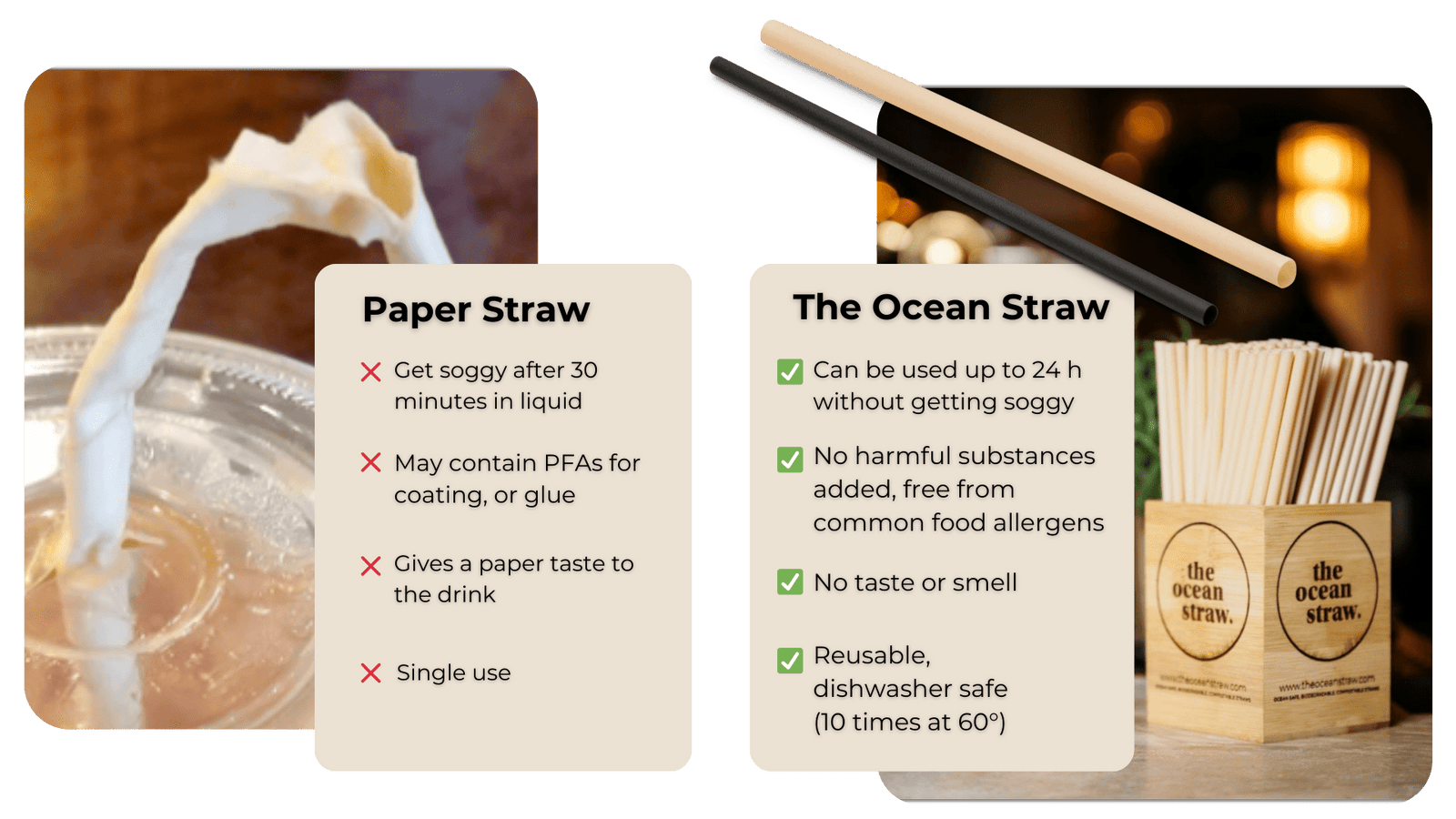 The Ocean Straw