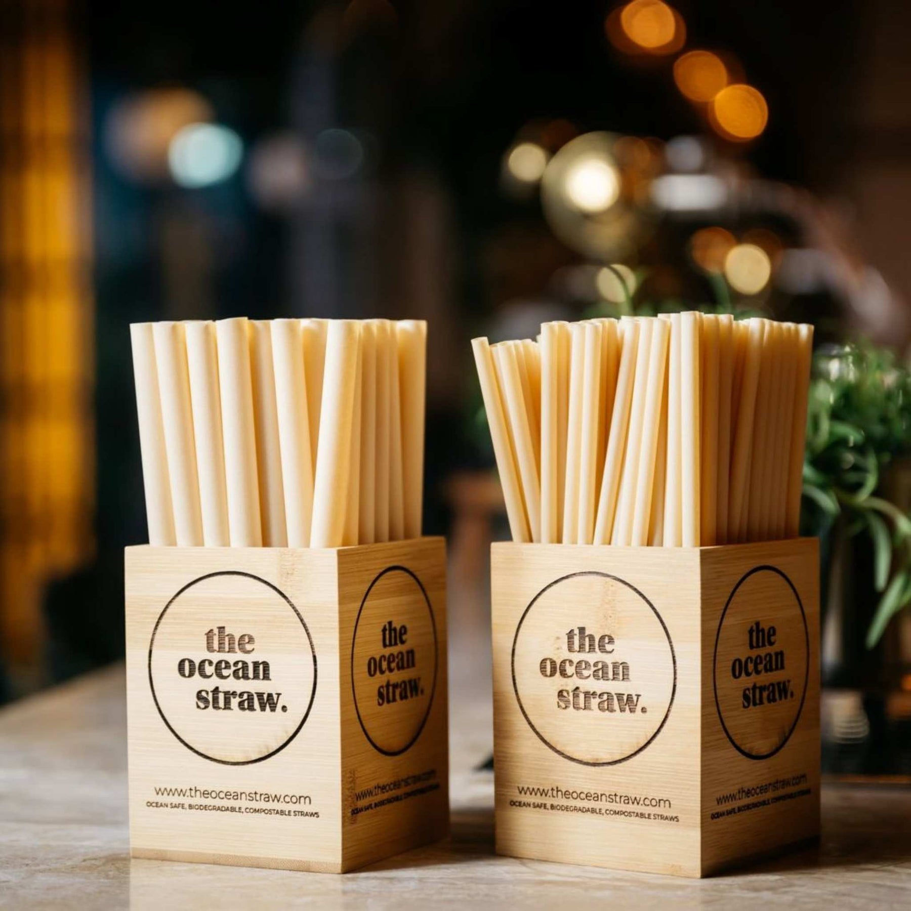 6mm - Cocktails & Soft Drinks – The Ocean Straw